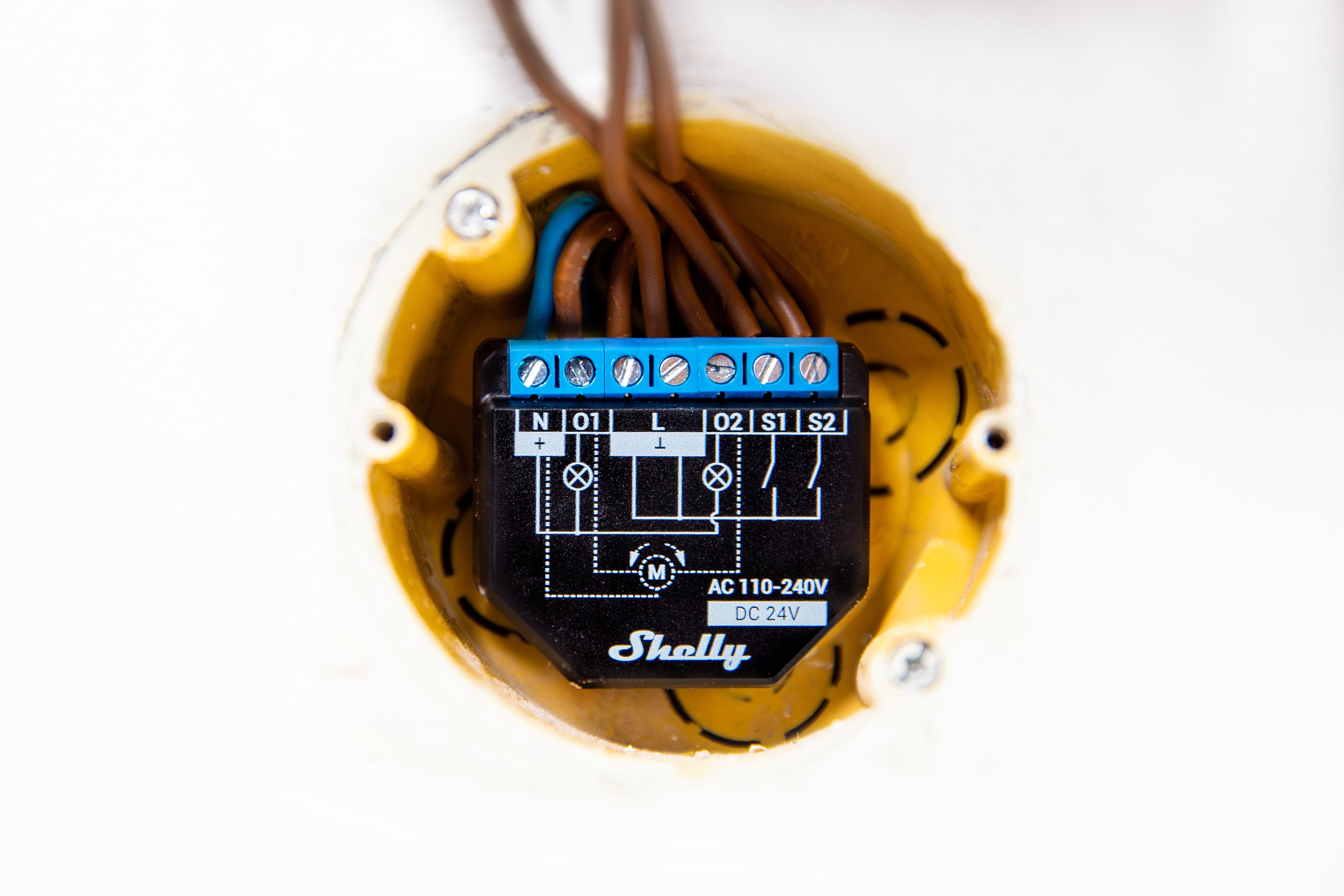 Shelly Plus 2PM - WLAN Relais für Rolladen 2x 10A mit Leistungsmessung – shelly-versand